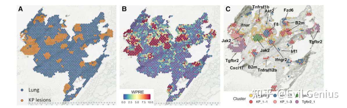 关于10X空间转录组质控分析的讨论 - 知乎