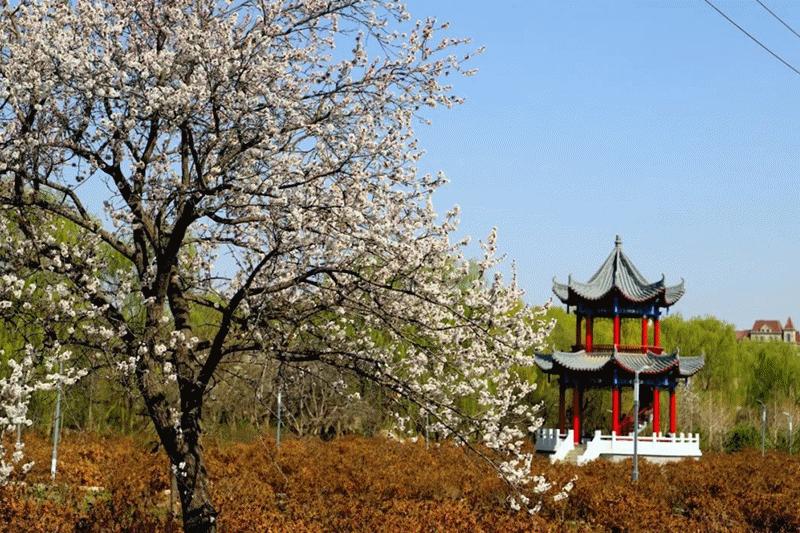 漫游武威|除了雷台、文庙景区，武威备受欢迎的打卡地还应有这20个~ - 知乎