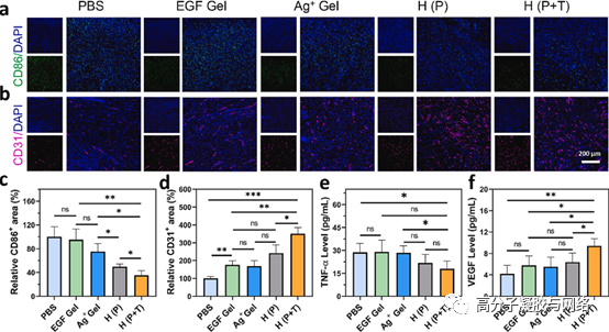 Bioactive Materials|四川大学：生物粘附/促凝血活性的多交联水凝胶，用于急救止血和感染伤口愈合 - 知乎