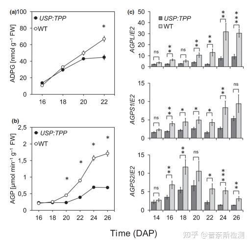海藻-6-磷酸（T6P）和蔗糖-6-磷酸（S6P） - 知乎