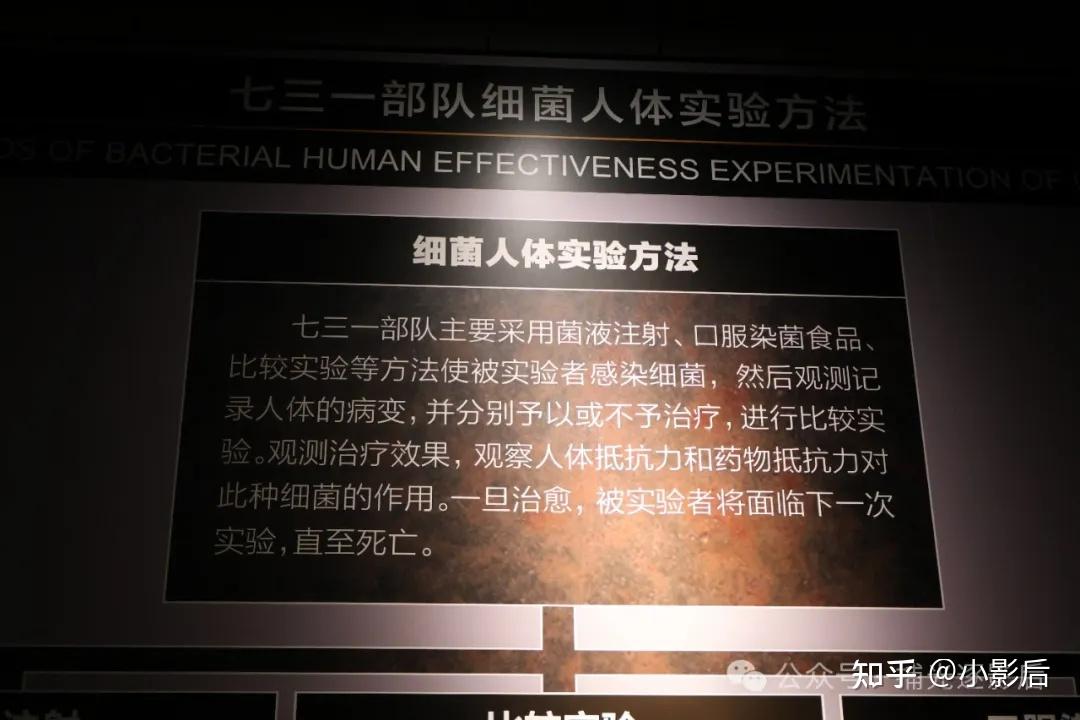 走进731博物馆：铭记历史，珍视和平 - 知乎