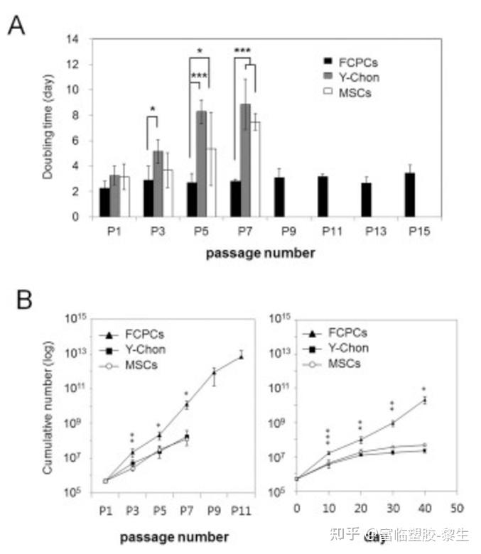 PGA Biofelt植入级无纺布胎儿软骨衍生细胞具有干细胞特性，是软骨再生的高效细胞来源 - 知乎