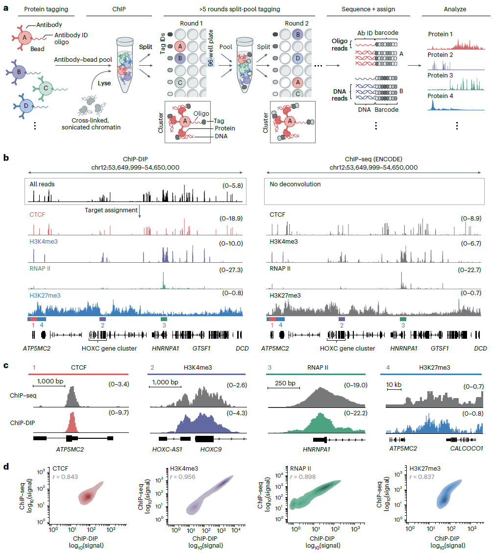 速来围观！研究转录因子-启动子互作的“新技术” - 知乎