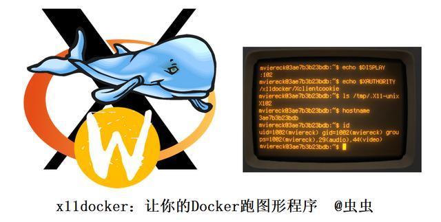 x11docker：让你的Docker跑图形程序 - 知乎