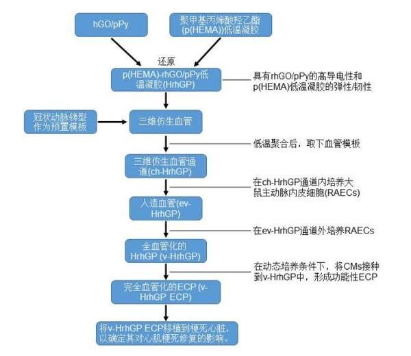 南方医科大学王乐禹教授和邱小忠教授在Advanced Functional Materials上发表重要文章：一种通过功能性血管吻合和电整合 ...