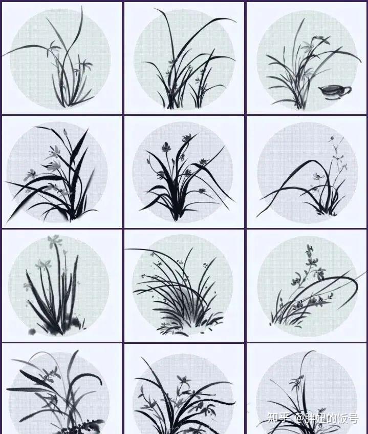 PS+procreate各种绝美花卉线稿笔刷 - 知乎