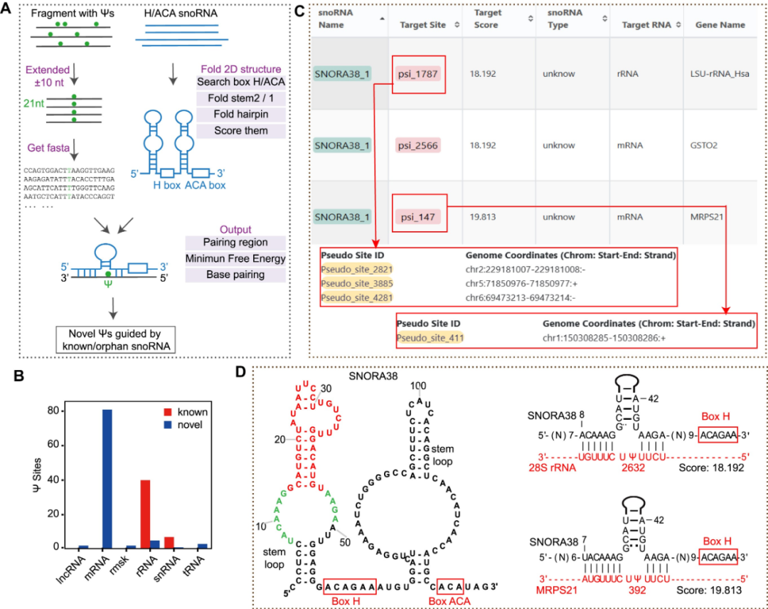 NAR｜中山大学杨建华/屈良鹄团队发表RMBase v3.0平台：解码RNA修饰图谱、机制和功能 - 知乎