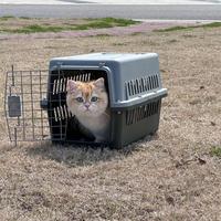 Innovus流程（3）-CTS - 知乎