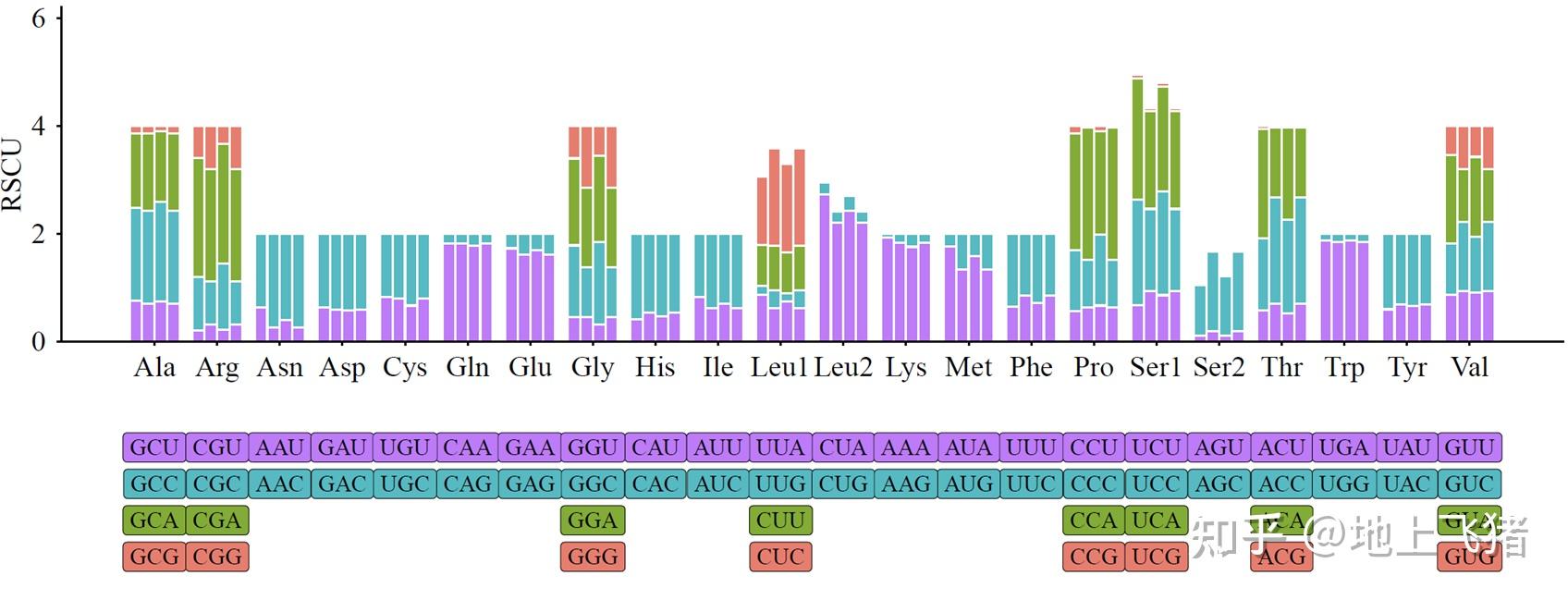 【线粒体基因组分析】18.多物种RSCU柱形图绘制及密码子使用情况统计（只需要蛋白编码基因CDS序列） - 知乎