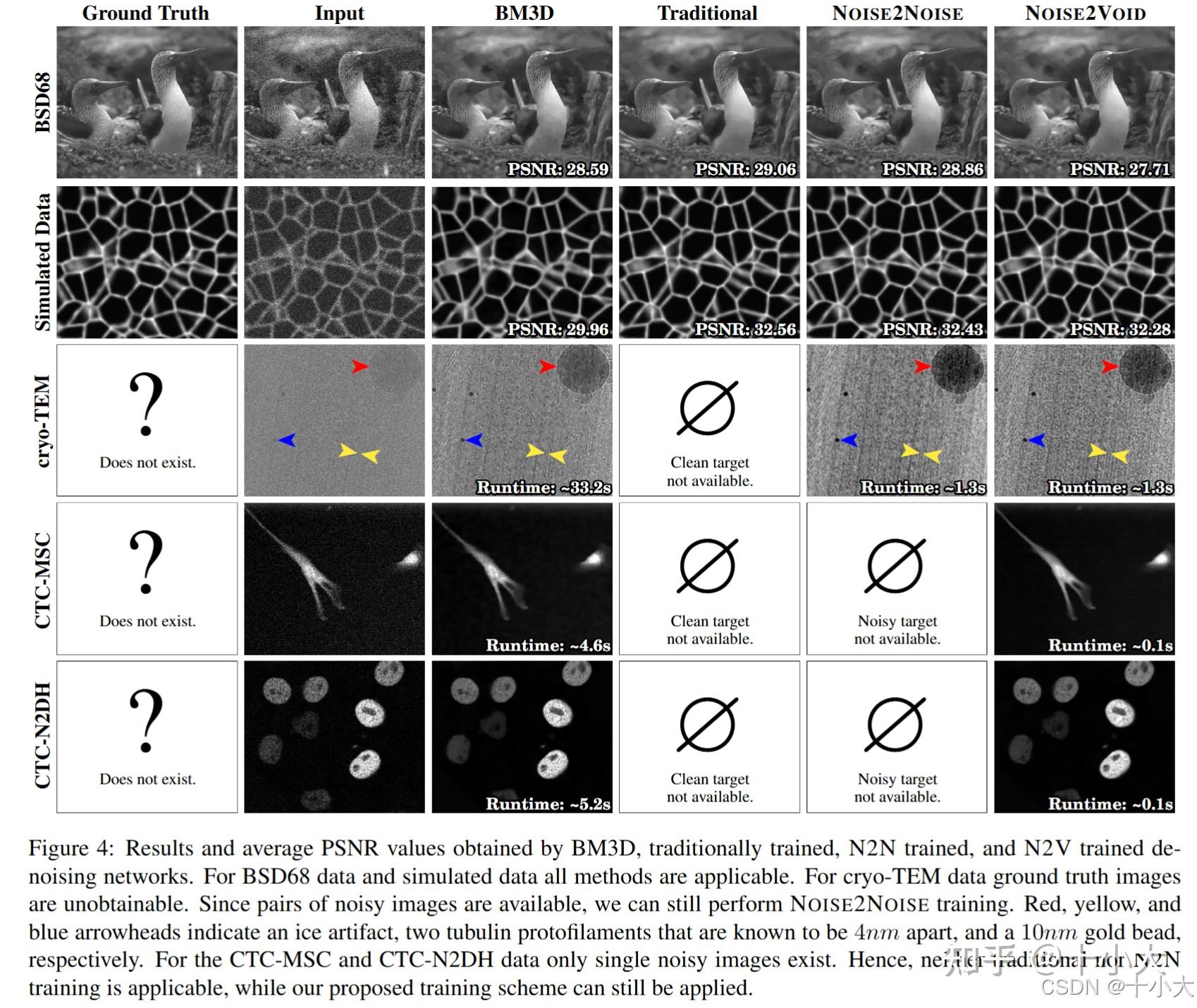 CVPR 2019 | N2V：降维打击！图像对输入变成像素对输入！盲点自监督去噪开山之作！ - 知乎