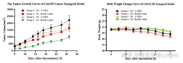 要想做好结肠癌CDX模型，了解这些常见细胞株必不可少 - 知乎