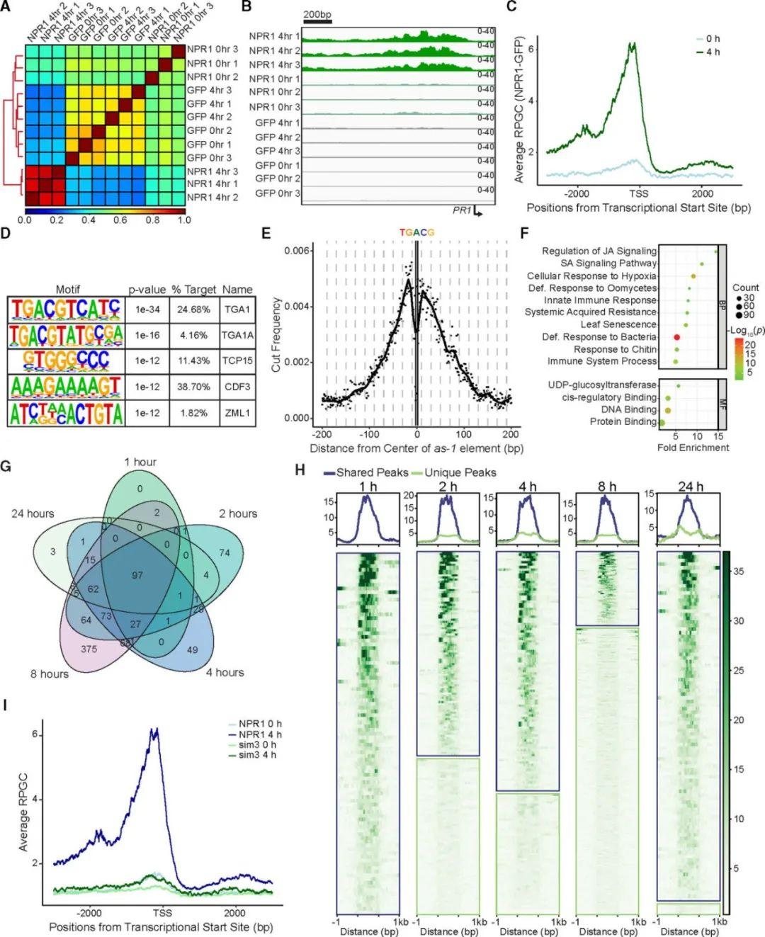 速来围观！研究转录因子-启动子互作的“新技术” - 知乎