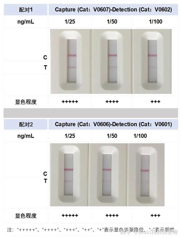 重点推荐丨高灵敏度急性肾损伤标志物NGAL配对抗体！ - 知乎