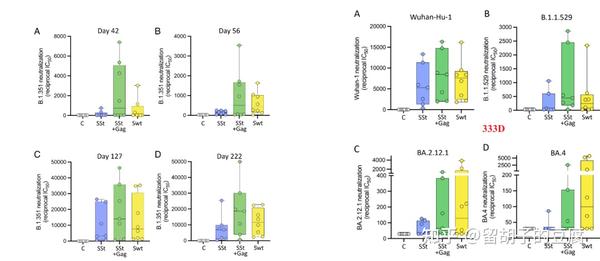 PNAS|共表达gag蛋白和嵌合Spike，开发VLP新冠mRNA疫苗 - 知乎