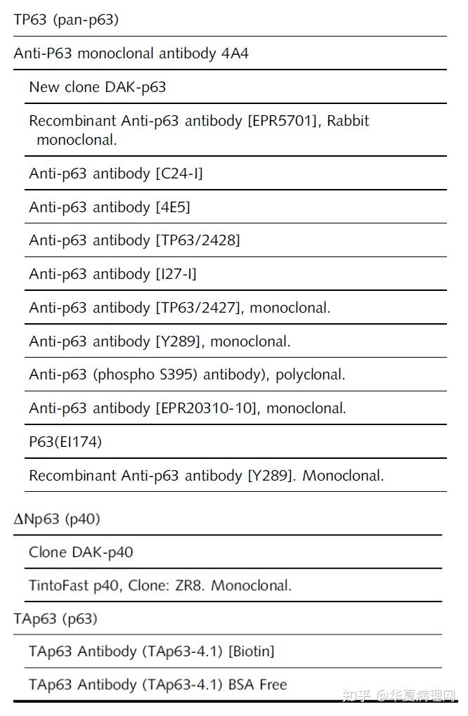 乳腺病理中的免疫组化p63（一） - 知乎