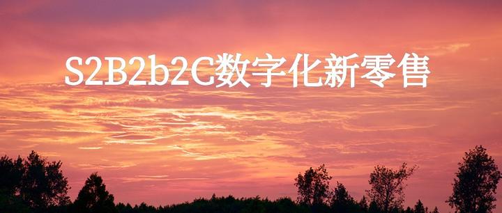 S2B2b2C数字化新零售，鸭嘴兽改写传统典当寄售行业！ - 知乎