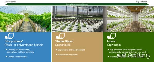 SmartPlant Editor完成种子轮融资：实现果蔬“芯片”自主可控，重塑植物科学与产业链创新边界 - 知乎