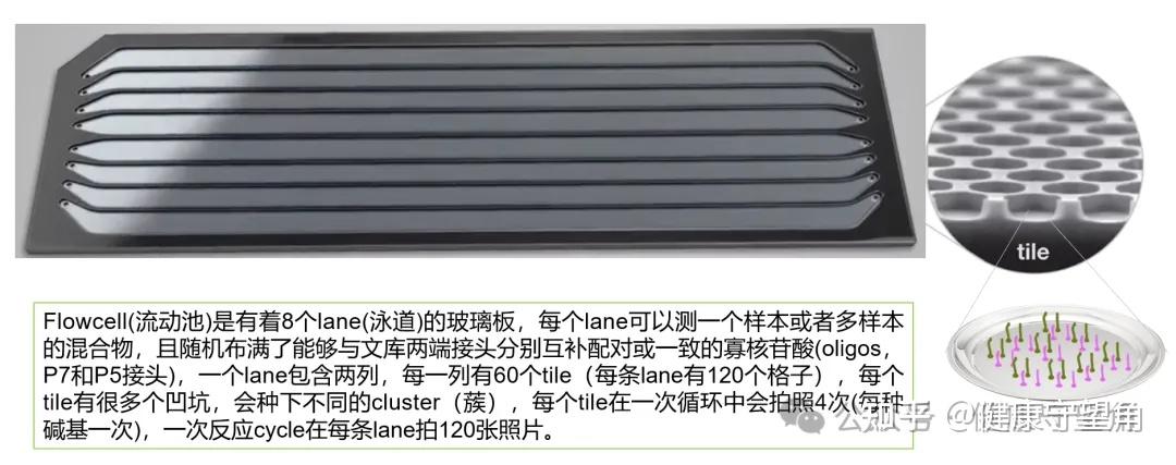 Illumina二代测序的比较完整的介绍，比如什么是文库，什么是测序深度？ - 知乎