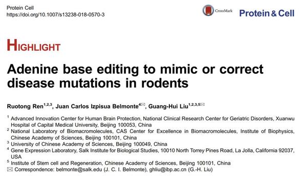 激烈交锋，风云再起丨ABE单碱基编辑器展示在胚胎的编辑潜能 - 知乎