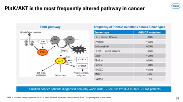 干货！基因泰克的研发策略和早期研发管线 - 知乎
