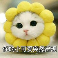 2026QS世界大学排名，26fall请参考 - 知乎