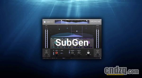 SSL推出SubGen插件 - 知乎