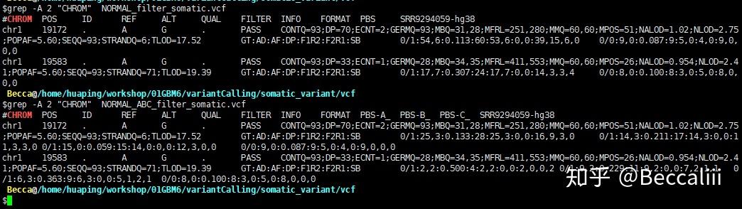 GATK4-体细胞突变检测somatic variants - 知乎