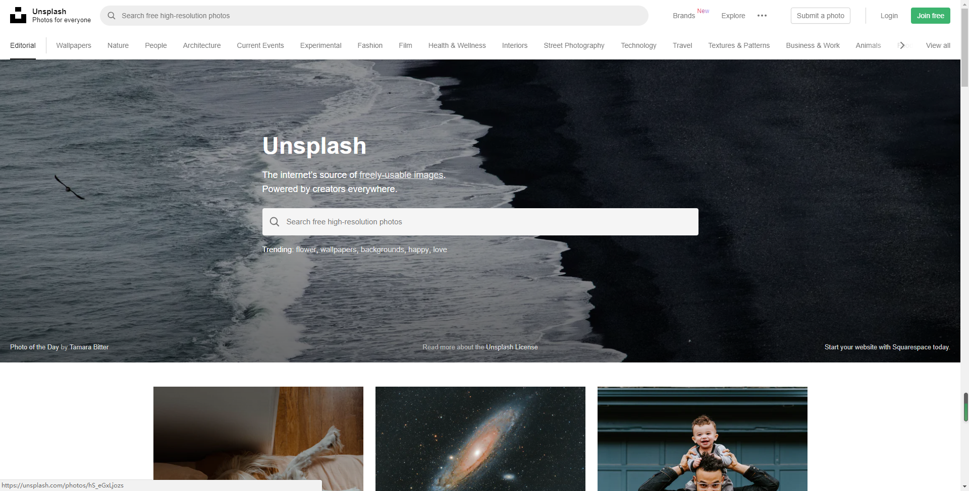 pixabay的素材都是无版权的吗？ - 知乎