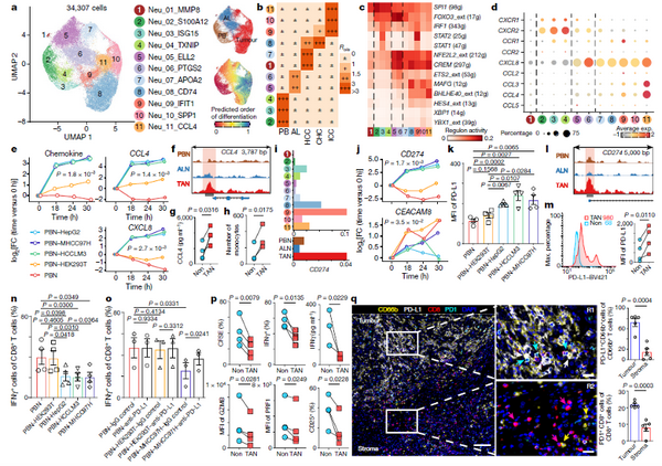 项目文章丨Nature：大队列单细胞测序解析肝癌的免疫微环境亚型和中性粒异质性 - 知乎