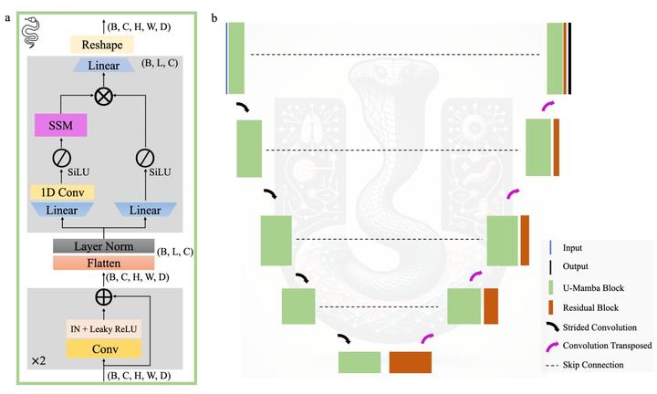 革新医学图像分割！刷新多个SOTA！U-Mamba：生物医学图像分割新网络 - 知乎