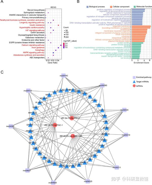 不会吧！还不知道tsRNA测序也能预测中药治疗疾病的靶点？一文带你了解一下 - 知乎