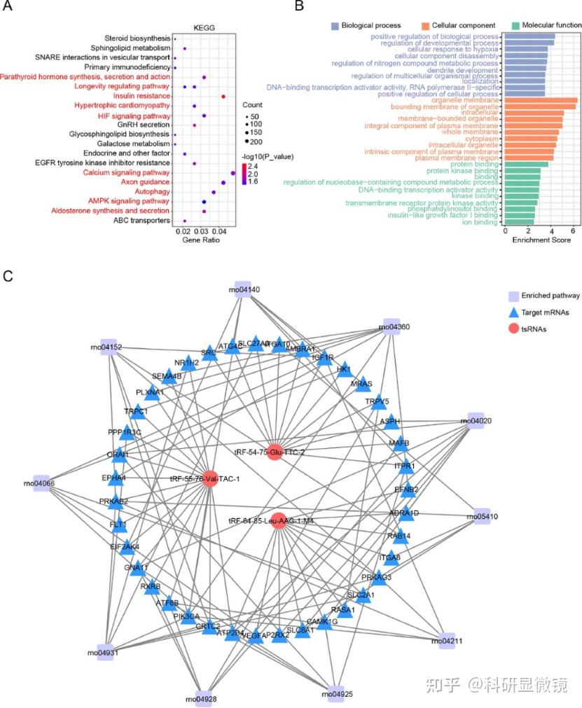 不会吧！还不知道tsRNA测序也能预测中药治疗疾病的靶点？一文带你了解一下 - 知乎