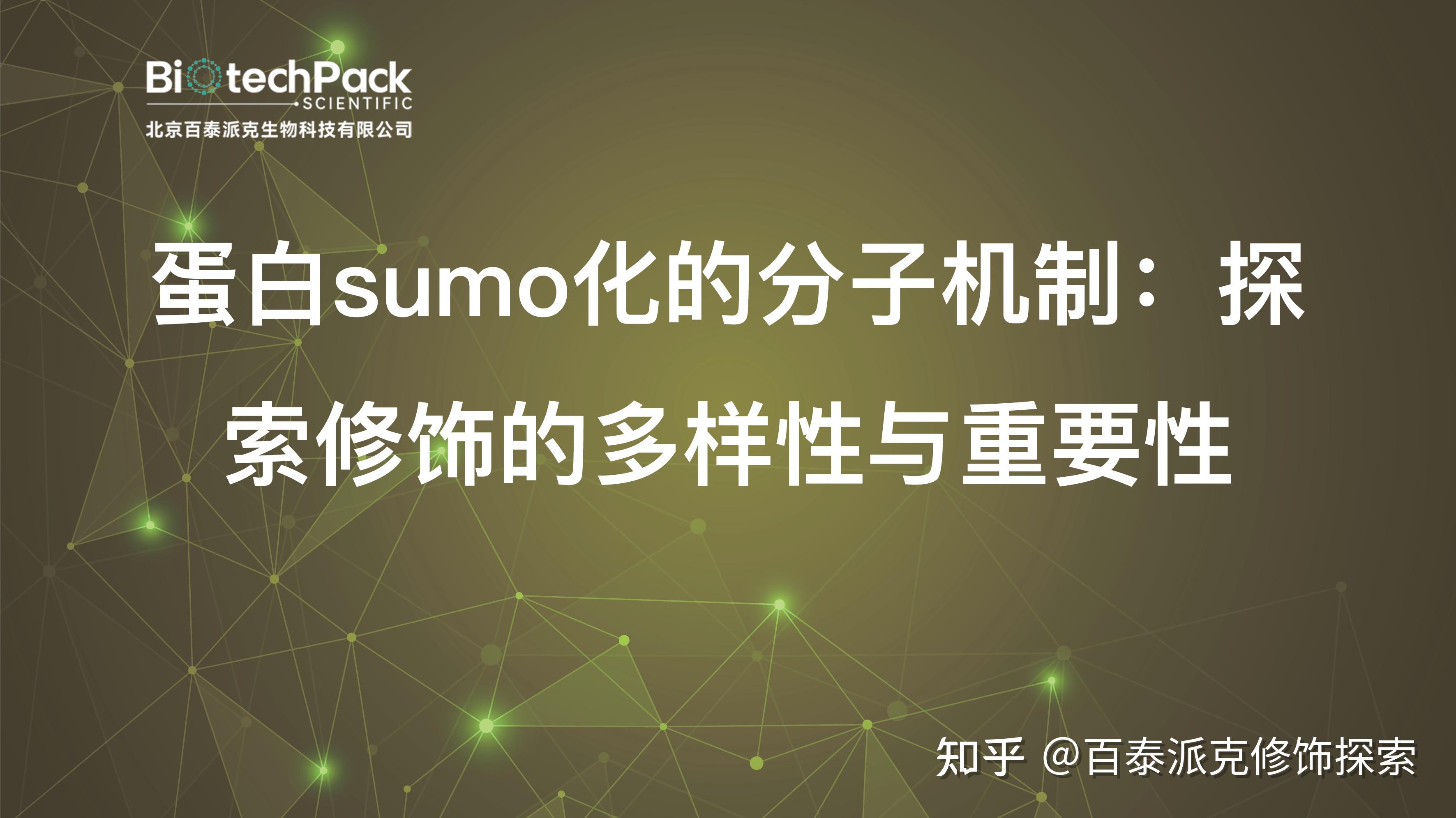 蛋白sumo化的分子机制：探索修饰的多样性与重要性 - 知乎