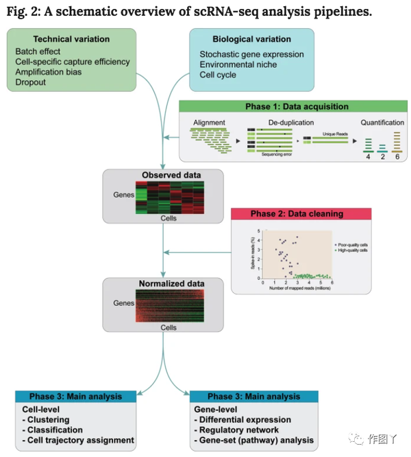 单细胞测序-scRNA-seq数据的标准化处理 - 知乎