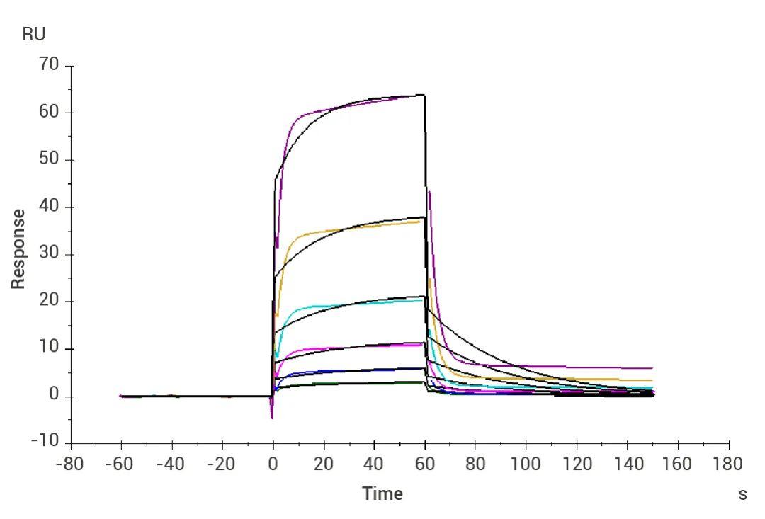 SPR技术原理是什么？ - 知乎