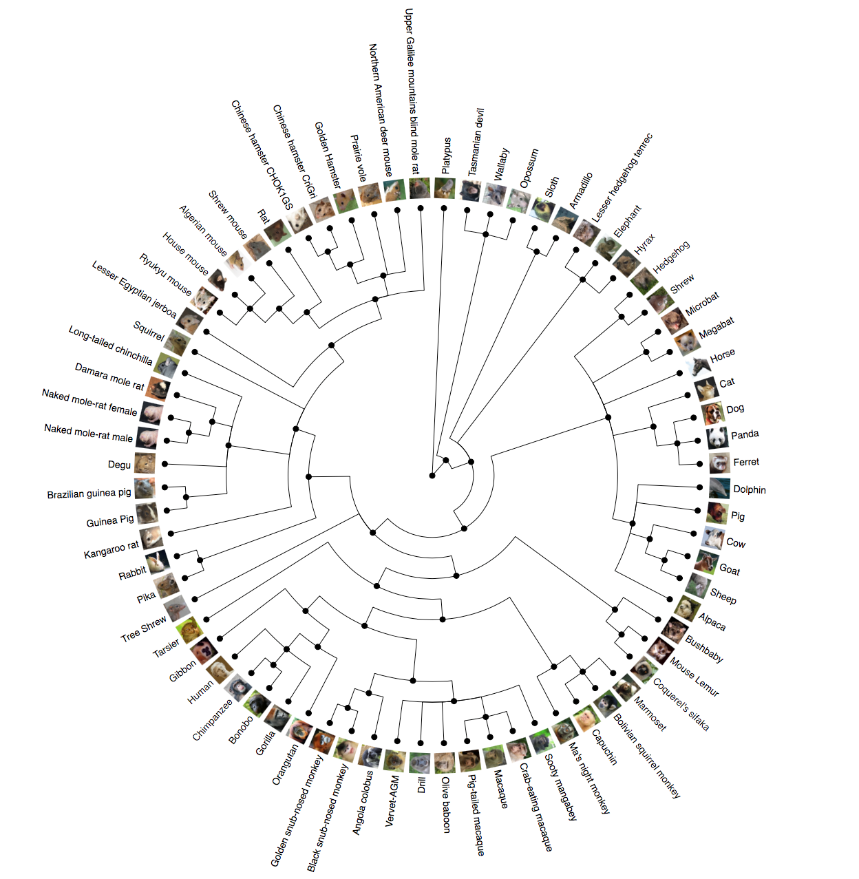 生物信息学100个基础问题 —— 第25题 GTF/GFF的注释是怎么来的，应该从哪里下载？ - 知乎