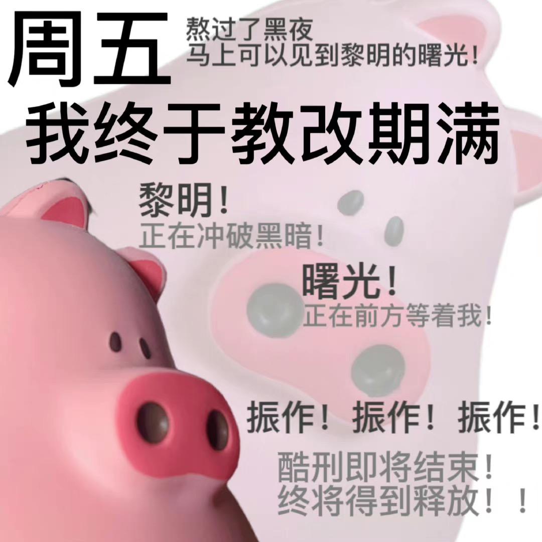 表情包：猪猪表情包 知乎