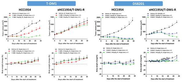 挑战肿瘤耐药难题：耐药模型构建策略与案例分享 - 知乎