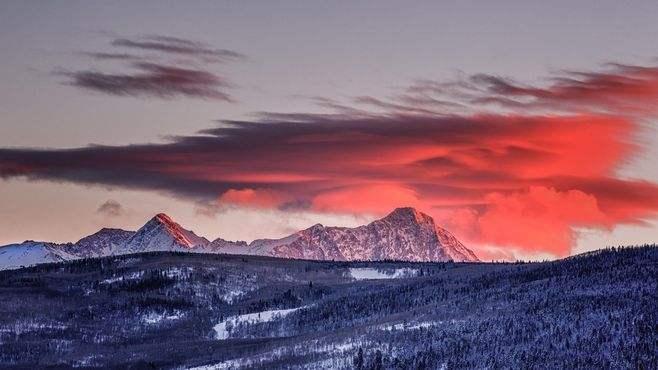 Go 爬虫之 colly 从入门到不放弃指南 - 知乎