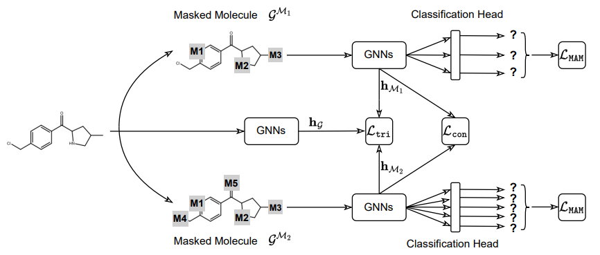 ICLR2023—Mole-BERT: Rethinking Pre-training Graph Neural Networks for ...
