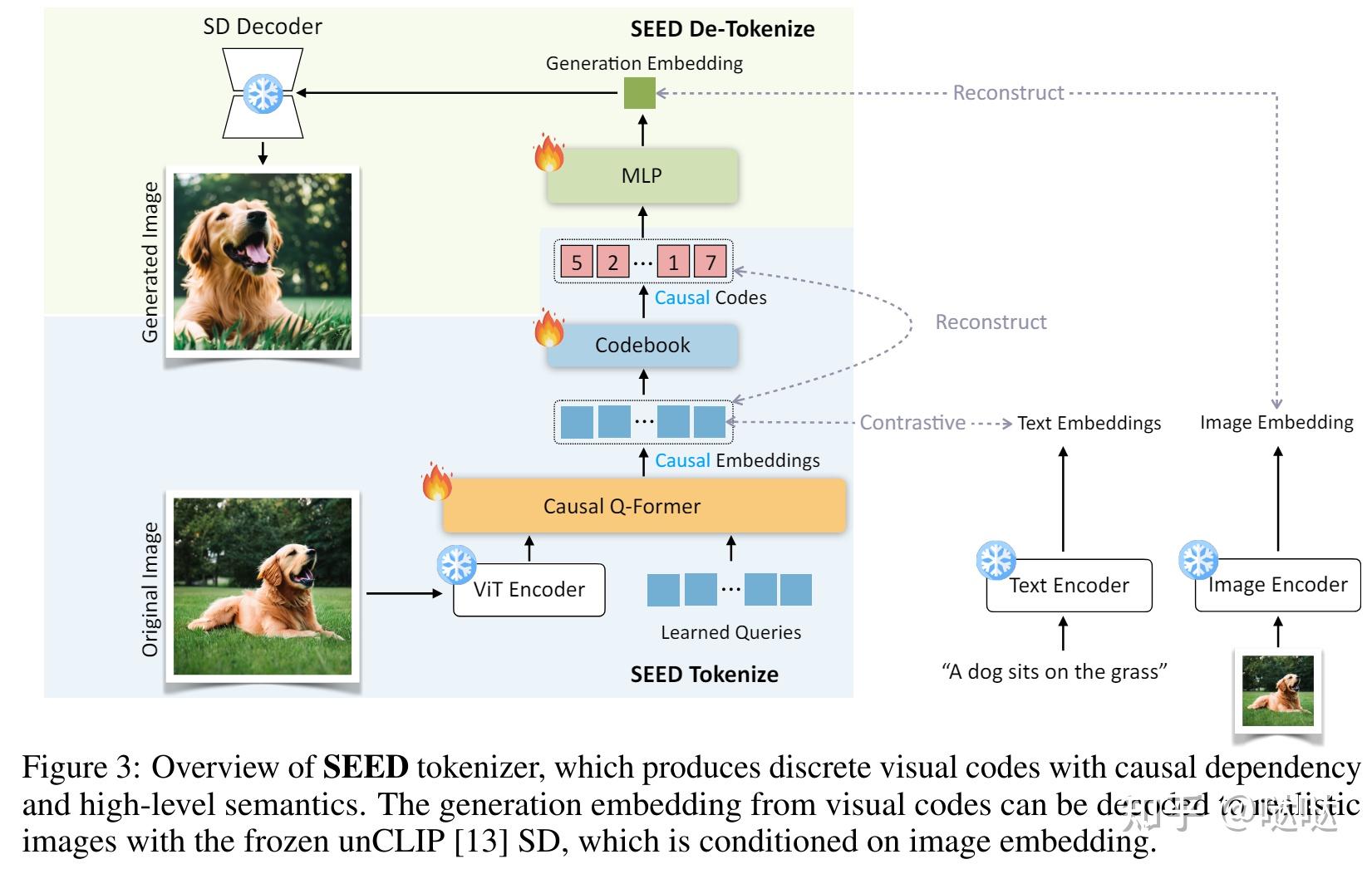 Planting a SEED of Vision in Large Language Model - 知乎