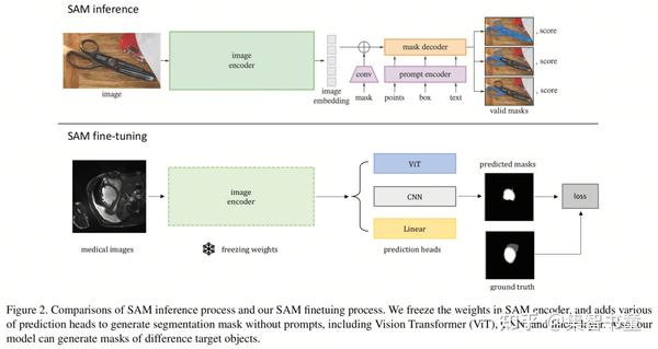 医疗SAM也来啦 | AutoSAM告诉你如何在医疗领域更快更好开发大模型 - 知乎