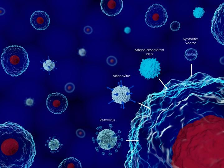 【超干货】AAV体内感染经验分享 - 知乎