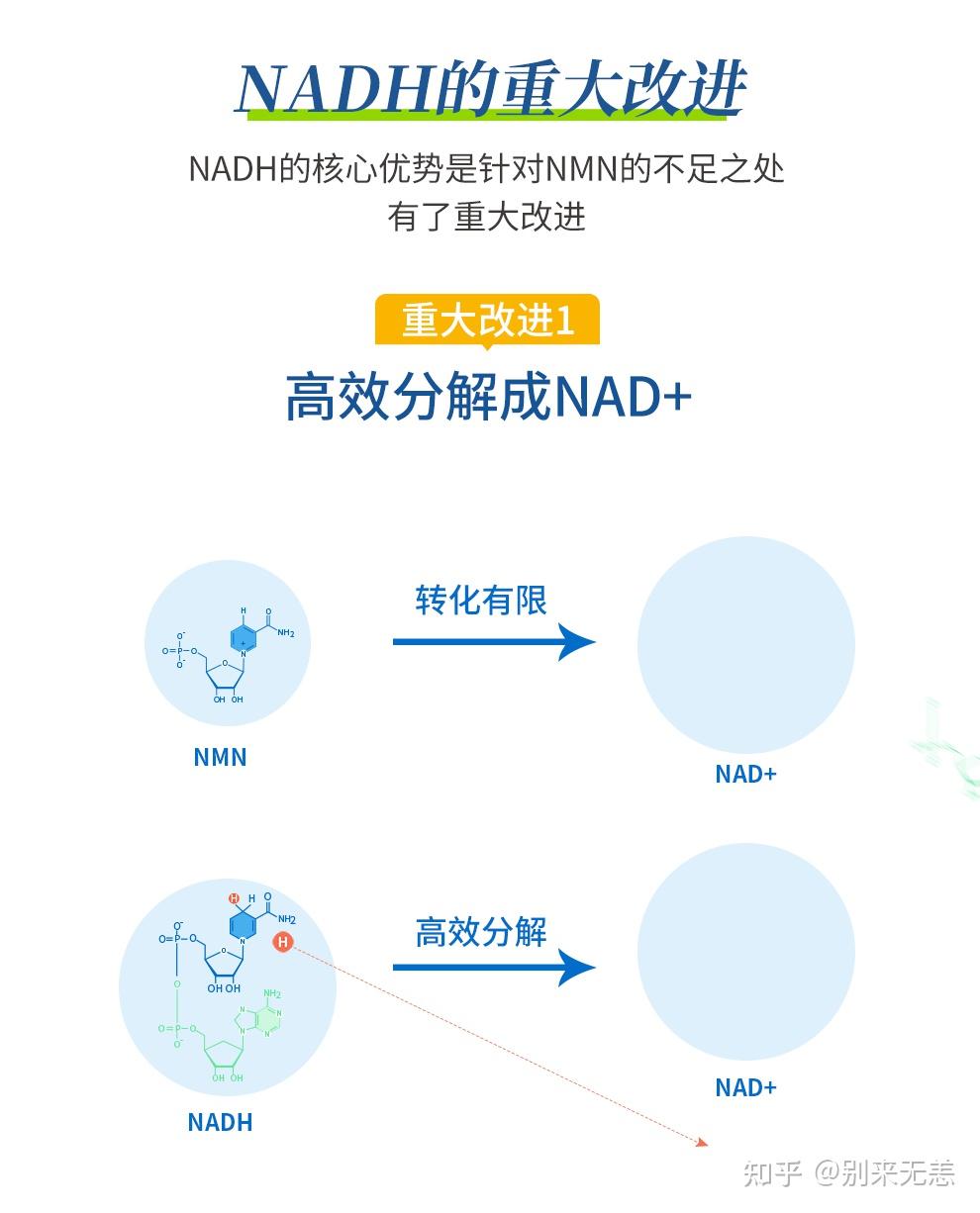 NADH的作用与功效 - 知乎