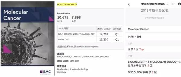 解刊 | 《Molecular Cancer》 - 知乎