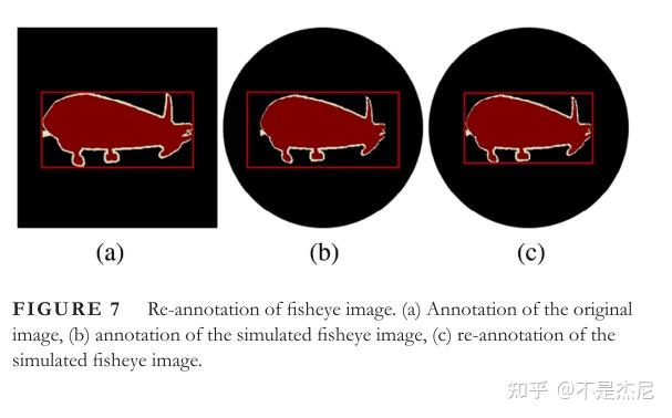 Swin-fisheye: Object detection for fisheye images总结分析 - 知乎