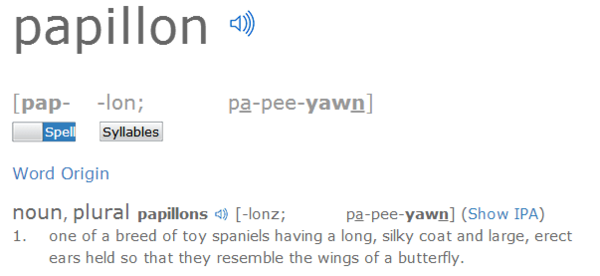 Papillon在欧美文化中究竟有多少种含义？ - 知乎