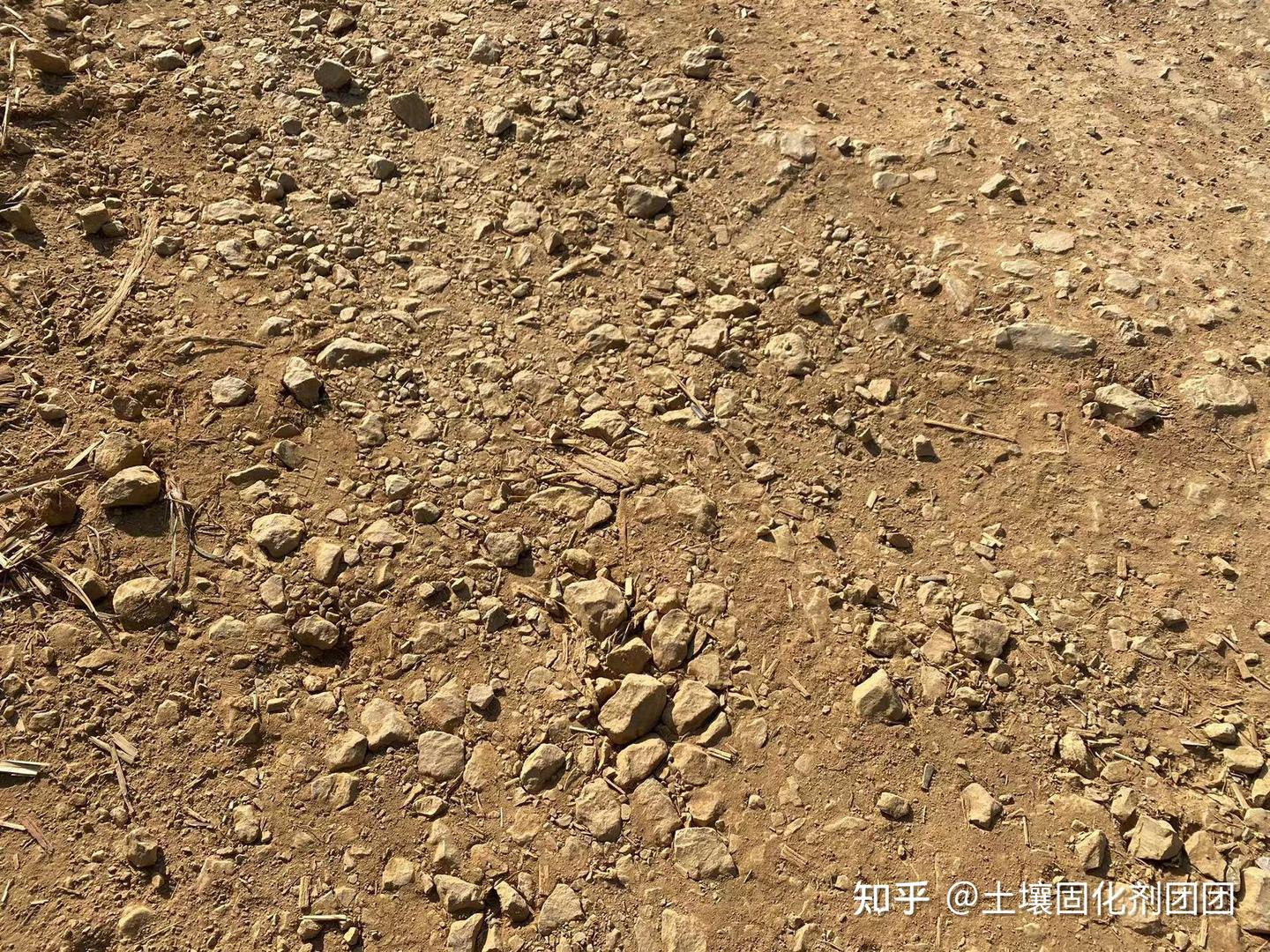 2022最新河北省廊坊市土壤改进剂固化剂一吨多少钱 - 知乎