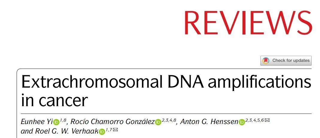 Nat Rev | 癌症中的染色体外DNA扩增 - 知乎
