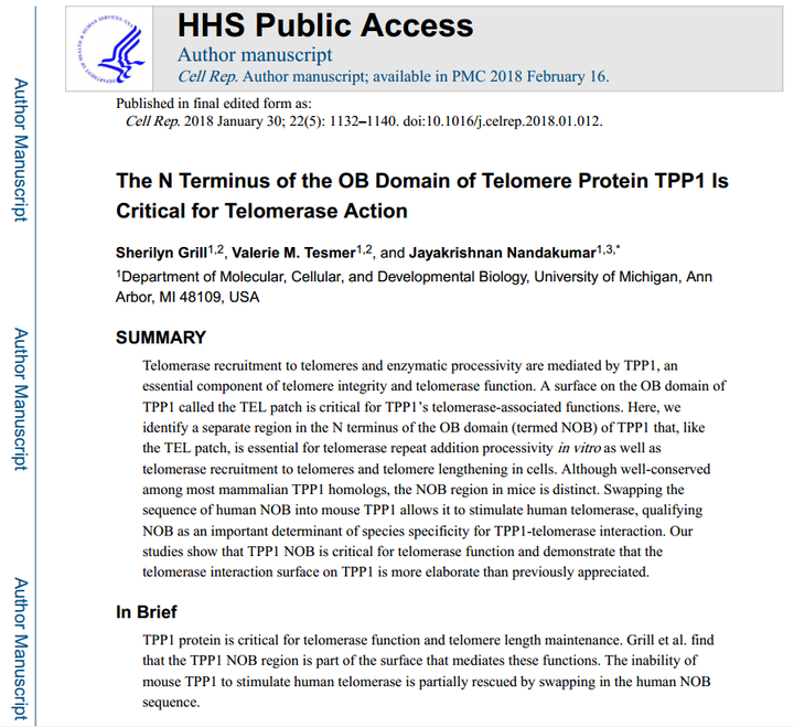 【文献翻译】端粒蛋白TPP1 OB结构域N末端对端粒酶活性的影响 - 知乎